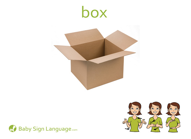 Box Flash Card