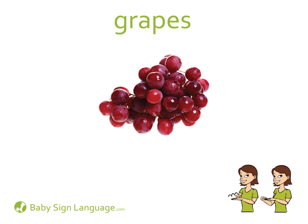 Grapes Flash Card