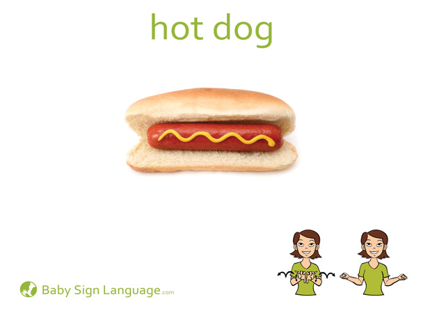 Hotdog Flash Card