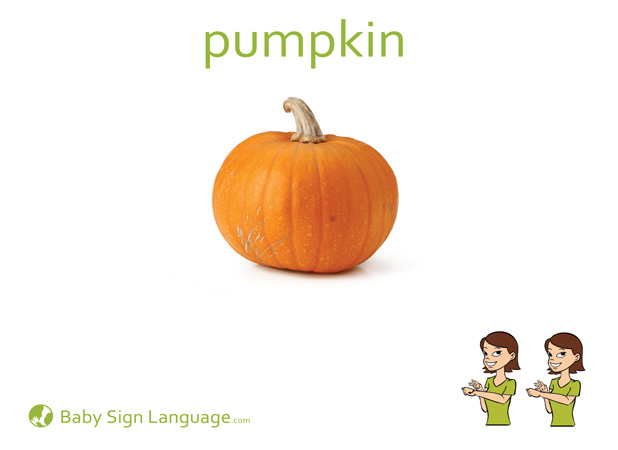 Pumpkin Flash Card
