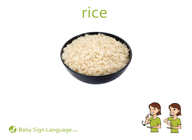 Rice Flash Card