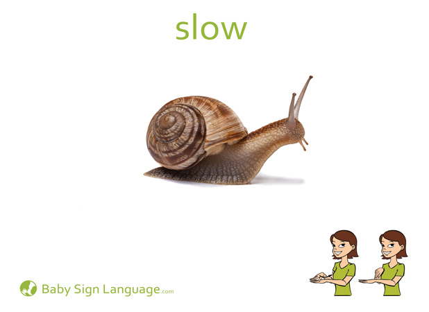 Slow Flash Card