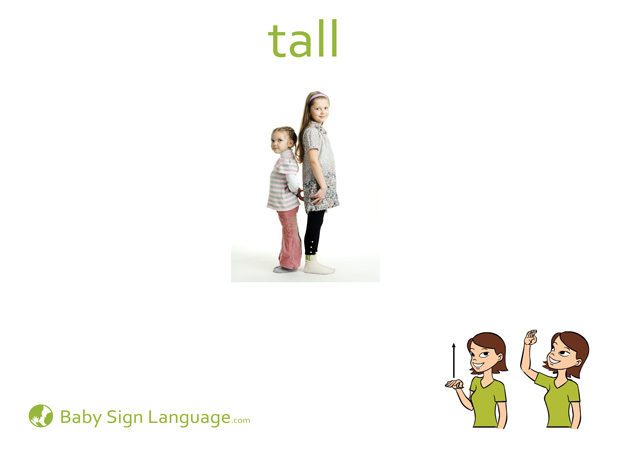 Tall Flash Card
