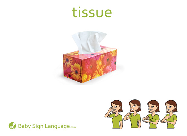 Tissue Flash Card