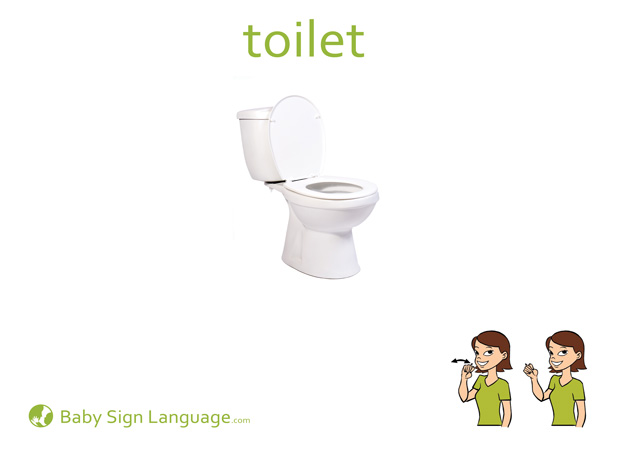 Toilet Flash Card