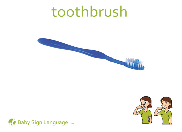 Toothbrush Flash Card
